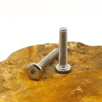 China Customized stainless steel hex socket screws Allen Screw for sale