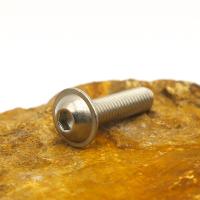 China Customized stainless steel hex socket screws Allen Screw for sale