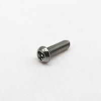 China Industrial Custom Anti Theft Screw Stainless Steel Safety Fasteners for sale