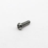 China Industrial Custom Anti Theft Screw Stainless Steel Safety Fasteners for sale