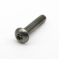 China Industrial Custom Anti Theft Screw Stainless Steel Safety Fasteners for sale