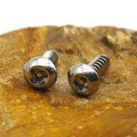 China Industrial Custom Anti Theft Screw Stainless Steel Safety Fasteners for sale