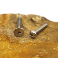 China Industrial Custom Anti Theft Screw Stainless Steel Safety Fasteners for sale