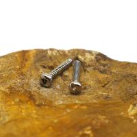 China Industrial Custom Anti Theft Screw Stainless Steel Safety Fasteners for sale