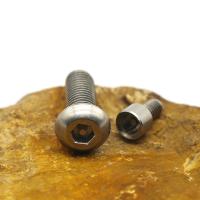 China Industrial Custom Anti Theft Screw Stainless Steel Safety Fasteners for sale