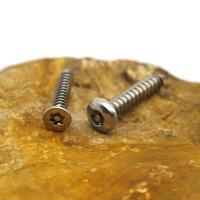 China Industrial Custom Anti Theft Screw Stainless Steel Safety Fasteners for sale