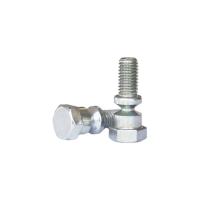 China Industrial Breakaway Security Screw Nut Custom Safety Fasteners for sale