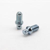 China Industrial Breakaway Security Screw Nut Custom Safety Fasteners for sale