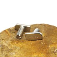 China Custom Fasteners Solar Panel T Bolts For Aluminum Rail Mounting for sale