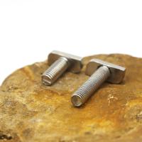China Custom Fasteners Solar Panel T Bolts For Aluminum Rail Mounting for sale