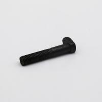 China Alloy Steel Custom High-Strength Screw Solutions Cold Forging Crafts for sale