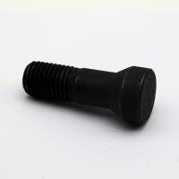 China Alloy Steel Custom High-Strength Screw Solutions Cold Forging Crafts for sale