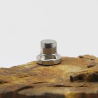 China Stainless Steel Semi-Tubular Rivets Stainless Steel Rivets for sale