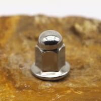 China Corrosion Resistant Electroplating Custom Stainless Steel Nut DIN ISO GB Standard for sale