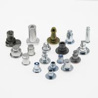 China Cold Forging Stainless Steel Customized Rivet DIN Standard Semi Hollow Rivets for sale