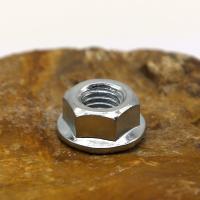 China Cold Heading Customized Stainless Steel Nut Metric Systems DIN ISO Standard for sale