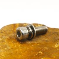 China Stainless steel hexagonal screws customized Customized stainless steel hex socket screws Allen Screw for sale