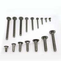 China Stainless steel carriage screws for sale