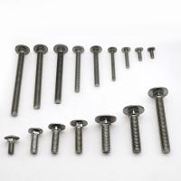 China Stainless steel carriage screws for sale