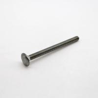 China Stainless steel carriage screws for sale