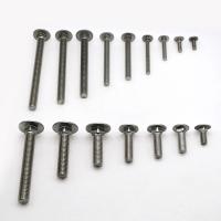 China Stainless steel carriage screws customized for sale