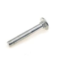 China Customized carriage screws for sale