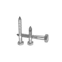 China Stainless steel wood screws customized for sale
