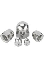China Stainless steel Acorn Cap Nuts,Hardware Nuts, Acorn Hex Cap Dome Head Nuts for Fasteners for sale