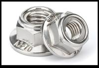 China Flange outer hexagon nut for sale
