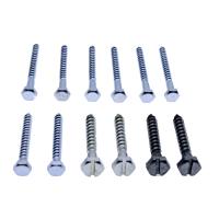 China Custom Wood Screws for sale