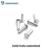 China Custom screws Solid hollow half hollow flat head half round head rivet step rivet for sale