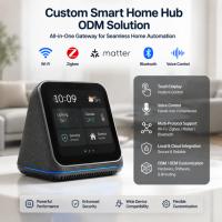 China Custom Smart Home Hub ODM Solution Wi-Fi Zigbee Matter Bluetooth Voice Control Touch Display Gateway for Home Automation for sale