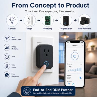 China Custom Smart Plug ODM Solution Wi-Fi Remote Control Energy Monitoring Timer Voice Compatible Socket for Home Automation for sale