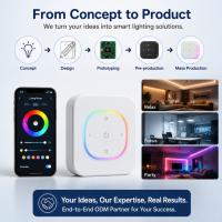 China Custom Smart Lighting Controller ODM Solution Wi-Fi Zigbee Dimming RGB Color Scene Automation LED Driver for Home Office for sale