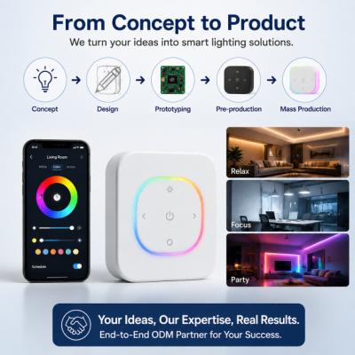 China Custom Smart Lighting Controller ODM Solution Wi-Fi Zigbee Dimming RGB Color Scene Automation LED Driver for Home Office for sale
