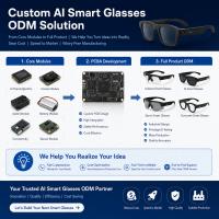 China Custom AI Smart Glasses ODM Turnkey Solution Voice Assistant Camera Gesture Control Translation for sale