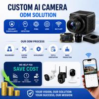 China Custom AI Camera ODM Solution Security Surveillance AI Detection PCBA Lens Wi-Fi App for sale
