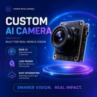 China Custom AI Camera ODM Solution Smart Home Monitoring AI Detection PCBA Lens Wi-Fi App for sale