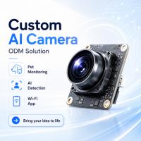 China Custom AI Camera ODM Solution Pet Monitoring AI Detection PCBA Lens Wi-Fi App for sale