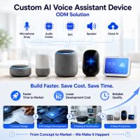 China Custom AI Voice Assistant Device ODM Solution Microphone Array Audio Codec SoC Speaker Cloud AI for sale