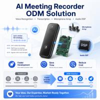 China AI Meeting Recorder ODM Solution Voice Recognition Transcription Microphone Array Audio DSP for sale