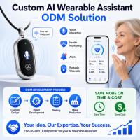 China Custom AI Wearable Assistant ODM Solution Voice Interaction Pendant Badge Health Device for sale