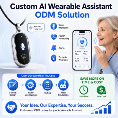 China Custom AI Wearable Assistant ODM Solution Voice Interaction Pendant Badge Health Device for sale