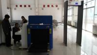 China Cargo xray machine at airport high security with 800 x 650mm Tunnel for sale