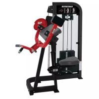 China Befreeman FH01 Commercial Seated Bicep Tricep Curl Machine with TIG Welding and Custom Color Options for sale