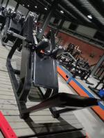 China FR 840 Commercial Leg Press & Hack Squat Machine - 500kg Capacity, Dual-Function Design for Professional Gyms for sale
