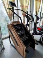 China Commercial Stainless Steel Electric Stairmill Climber - 220V Powered StepMaster for Gym Use for sale