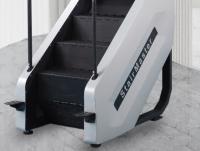 China Commercial Stainless Steel Electric Stairmill Climber - 220V Powered StepMaster for Gym Use for sale