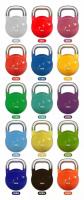 China Professional Cast Iron Gym Kettlebell - 5-50 lb Weight Range with 1.4 Inch Handle for Strength Training for sale