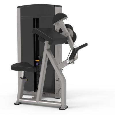 China AX03 Biceps Machine 182kg Commercial Gym Equipment with Pin Load Selection 1180x835x1360mm for sale